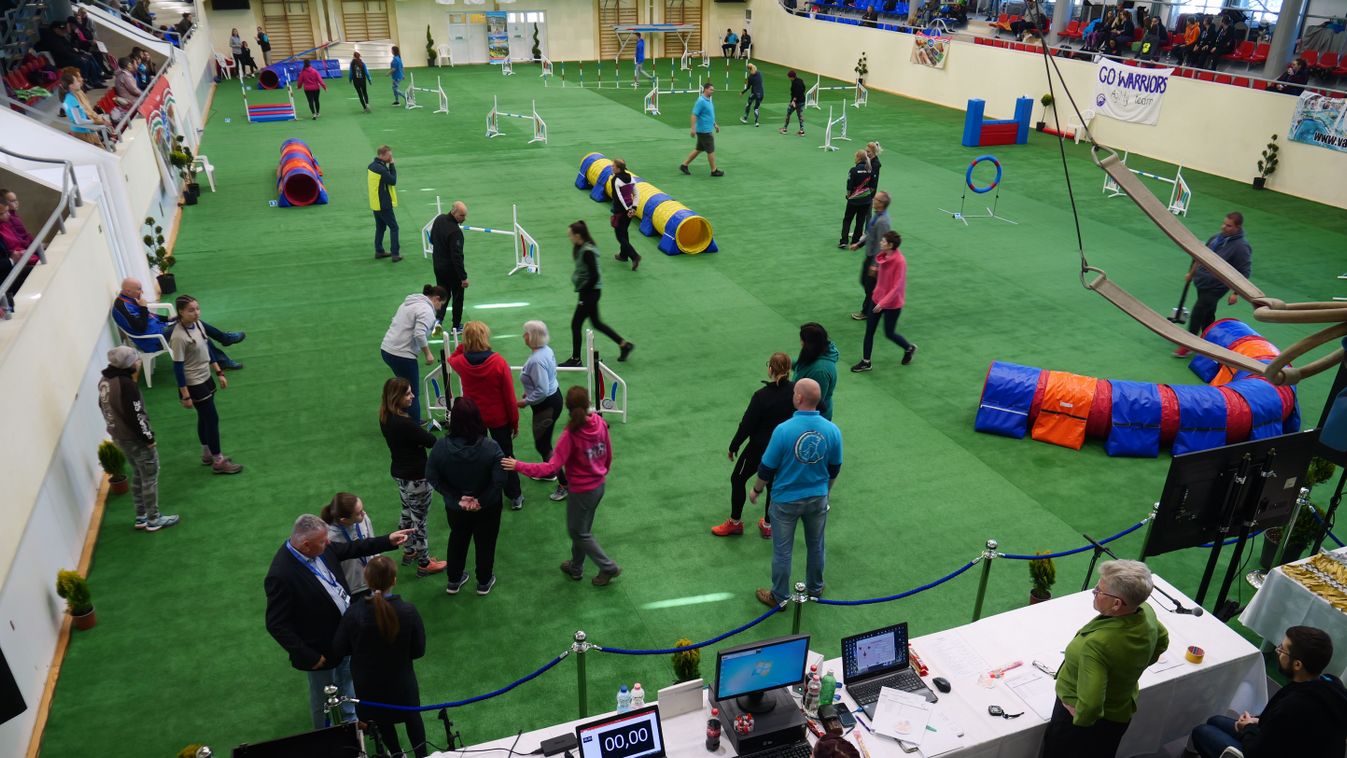Vastaps köszöntötte a kutyákat a gyulai agility versenyen – galériával