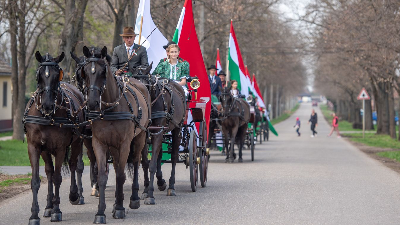 Nóniusz fogatok felvonulása színesítette a mezőhegyesi ünnepi programot ...