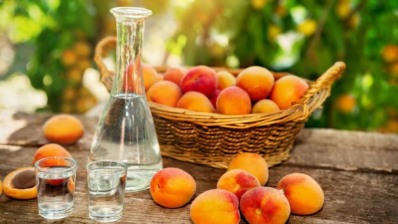 A barackpálinka úgy fest, idén is kuriózum marad