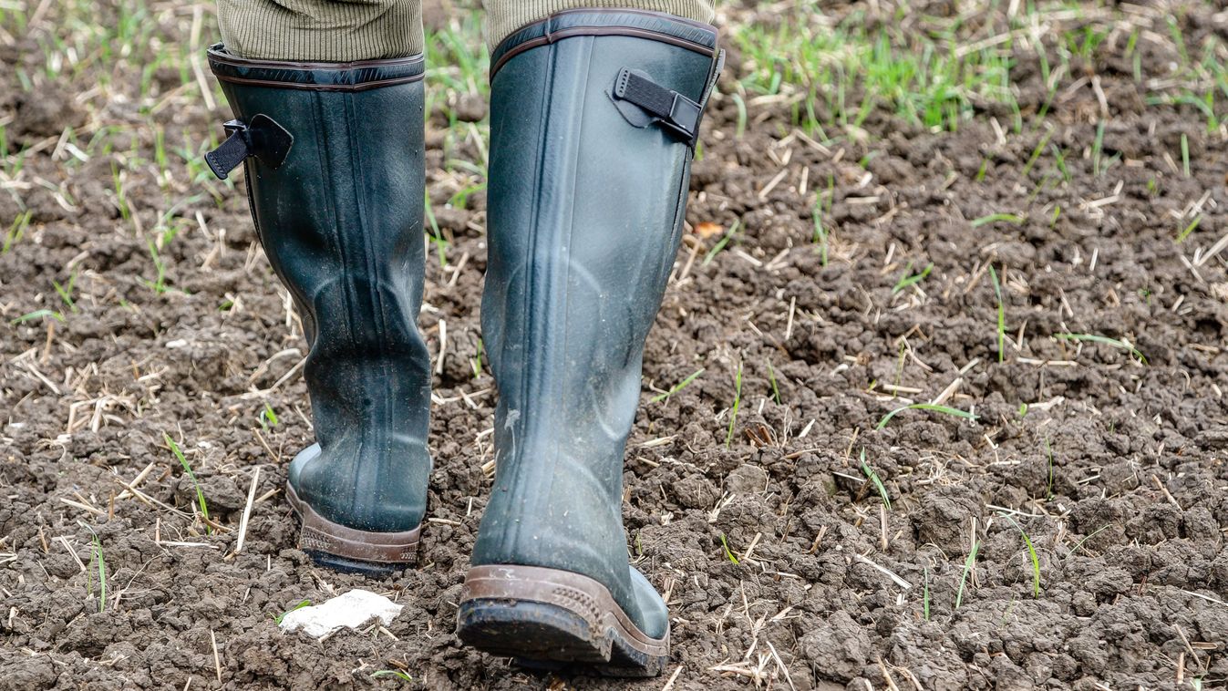 Óriási szarvasbikát terített le dr. Cs. Tóth Zoltán