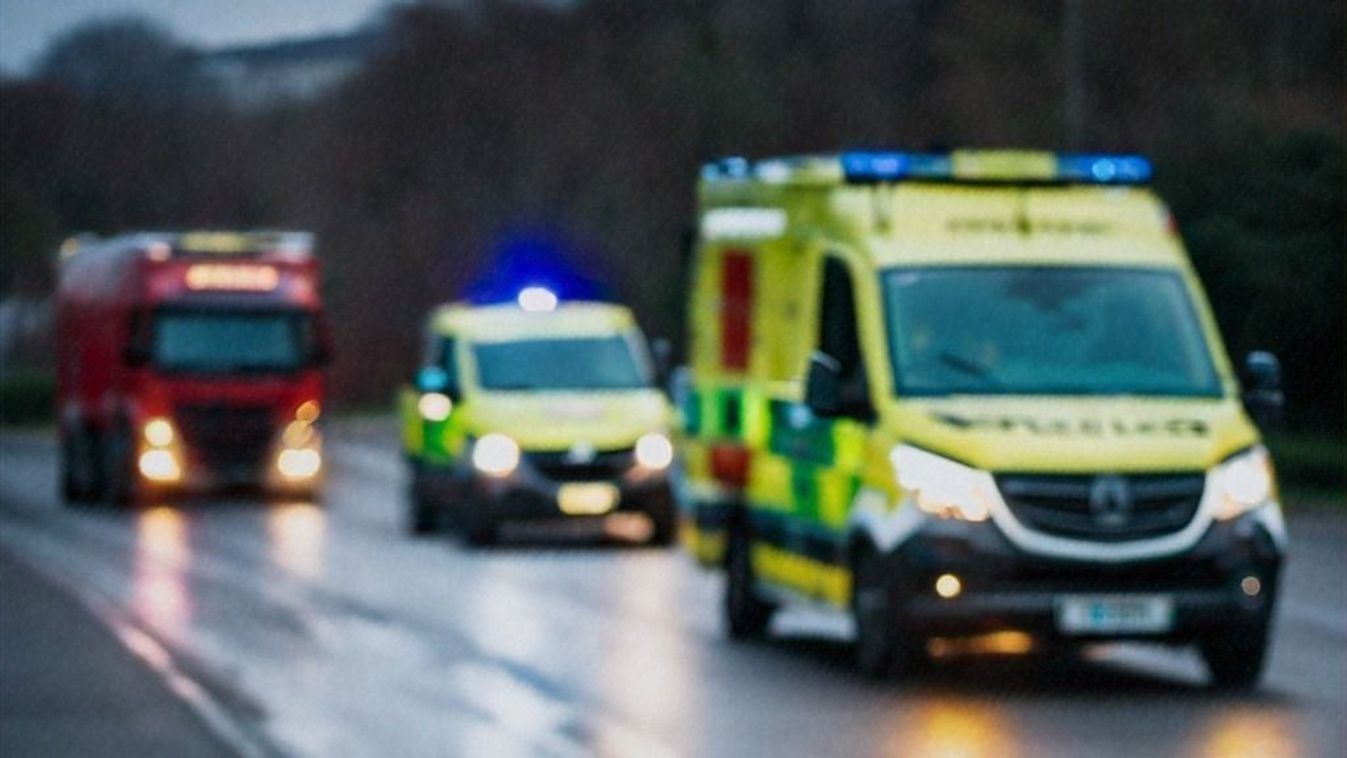 Január legolvasottabb kék hírei: lopás, rongálás és többmilliós csalás