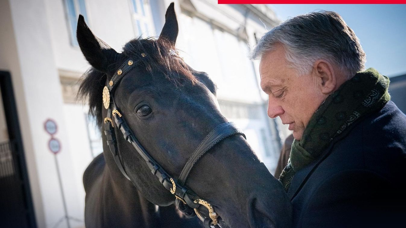 Orbán Viktor nóniusz lovakat adott el a törököknek