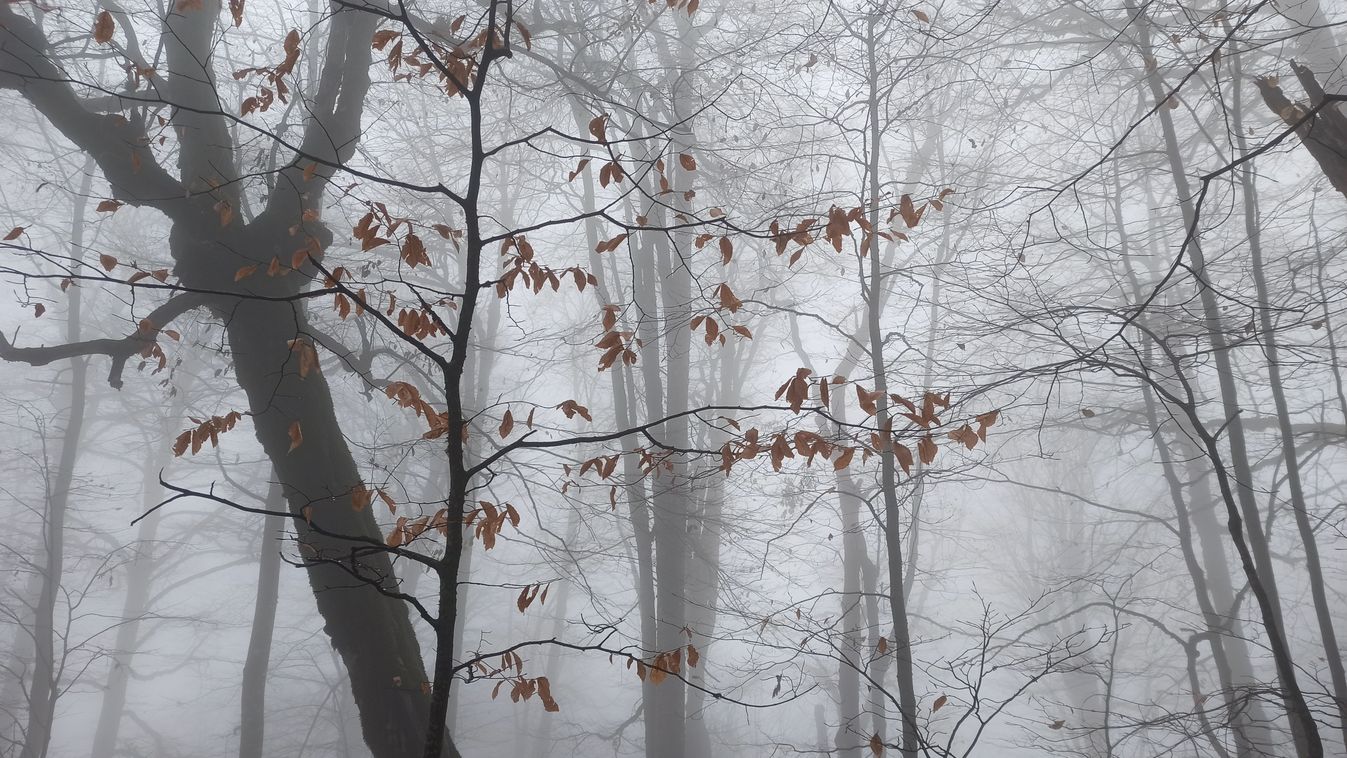 Hideg szél, dermesztő reggel – ez még csak a kezdet