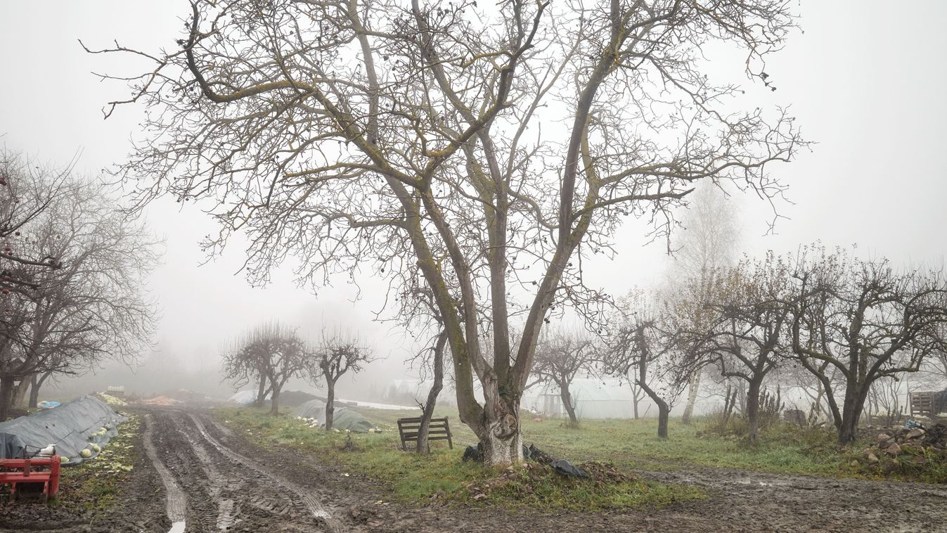 Milyen idő lesz holnap Békéscsabán és környékén? – december 21., vasárnap